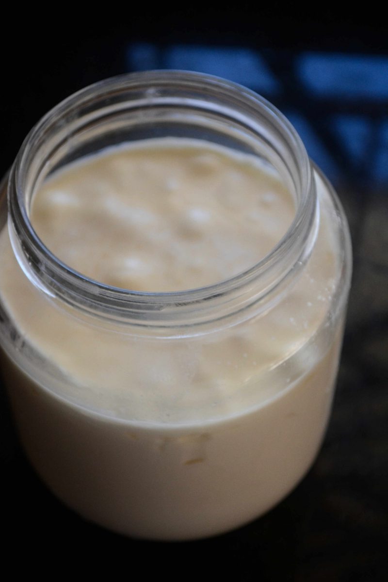 Homemade Milk Kefir - The Perfect Probiotic Drink – Gayathri's Cook Spot