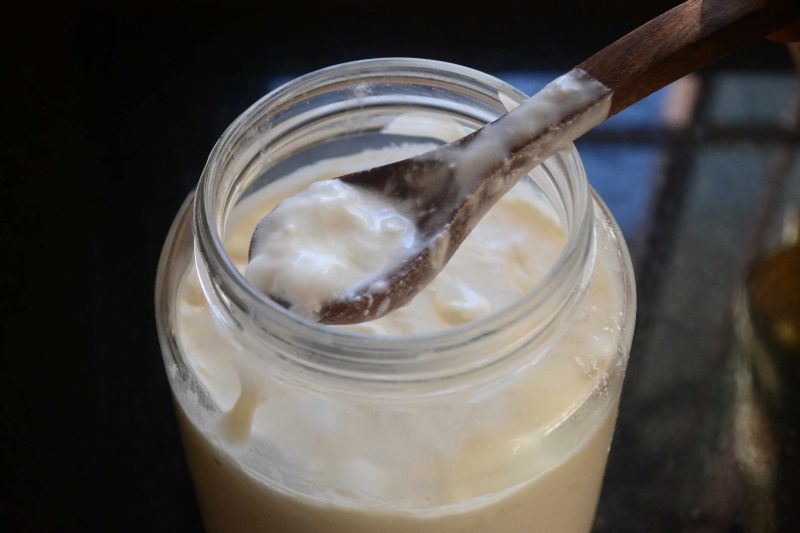 Homemade Milk Kefir - The Perfect Probiotic Drink – Gayathri's Cook Spot
